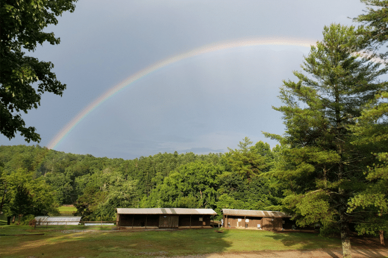 Learn More About Us | Camp Chatuga