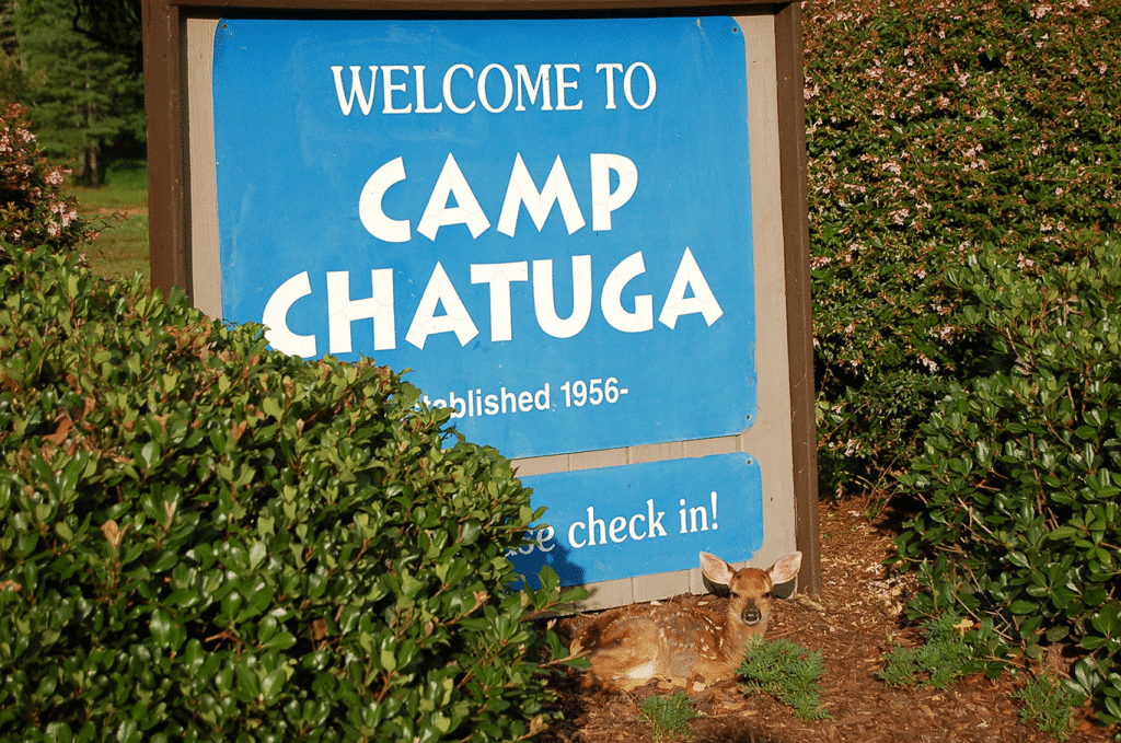 News | Camp Chatuga